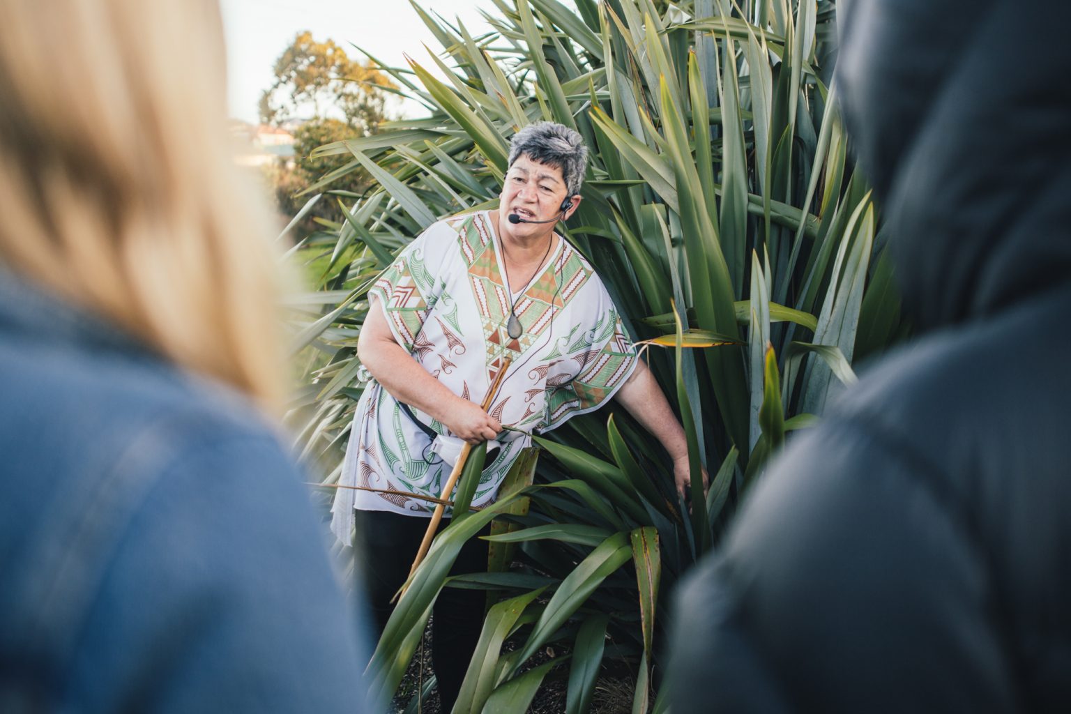 Rongoā Māori – a unique insight into an indigenous approach to health ...