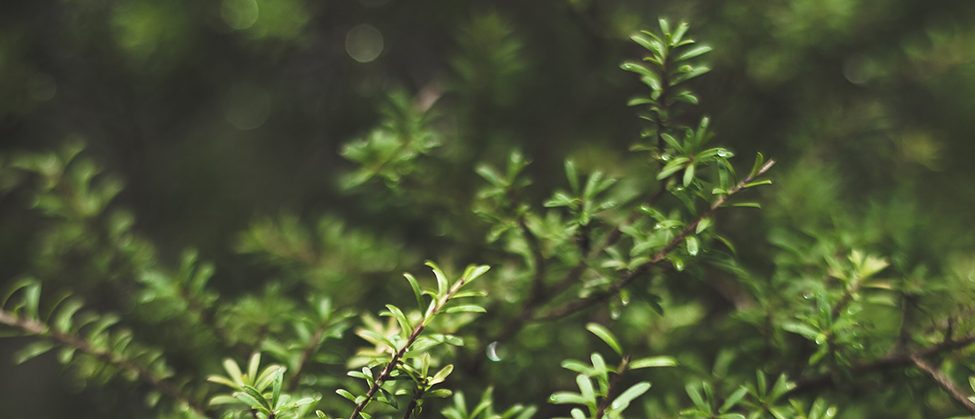 EcoFest - Join the fun at EcoFest, a month-long celebration of ...