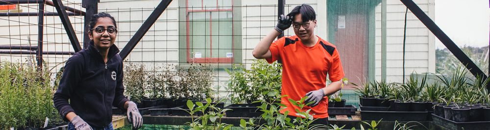 Volunteer - EcoMatters Environment Trust