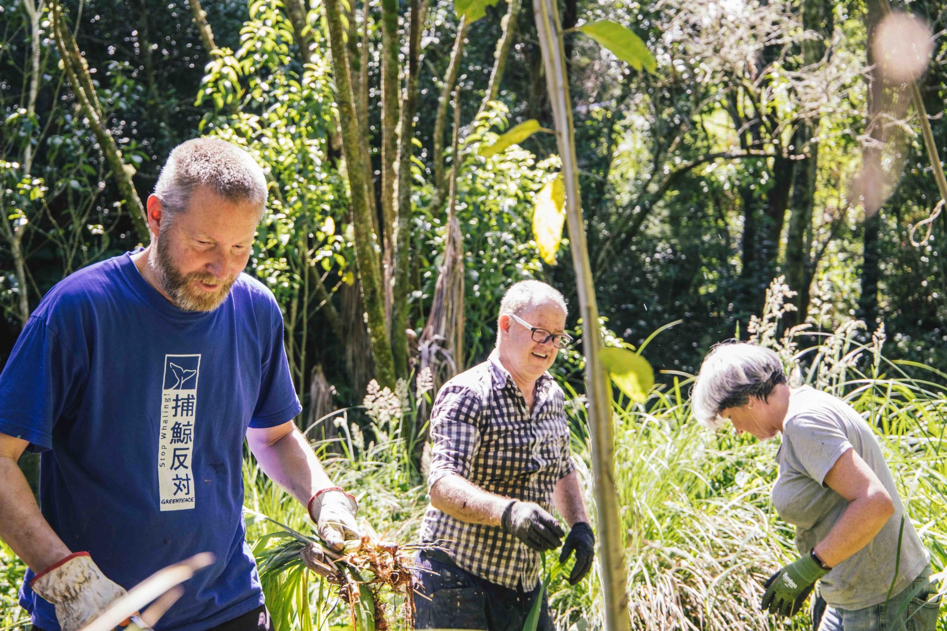TITIRANGI ENVIRONMENT CHAMPION KEEN TO SEE MORE NEIGHBOURS ON BOARD ...