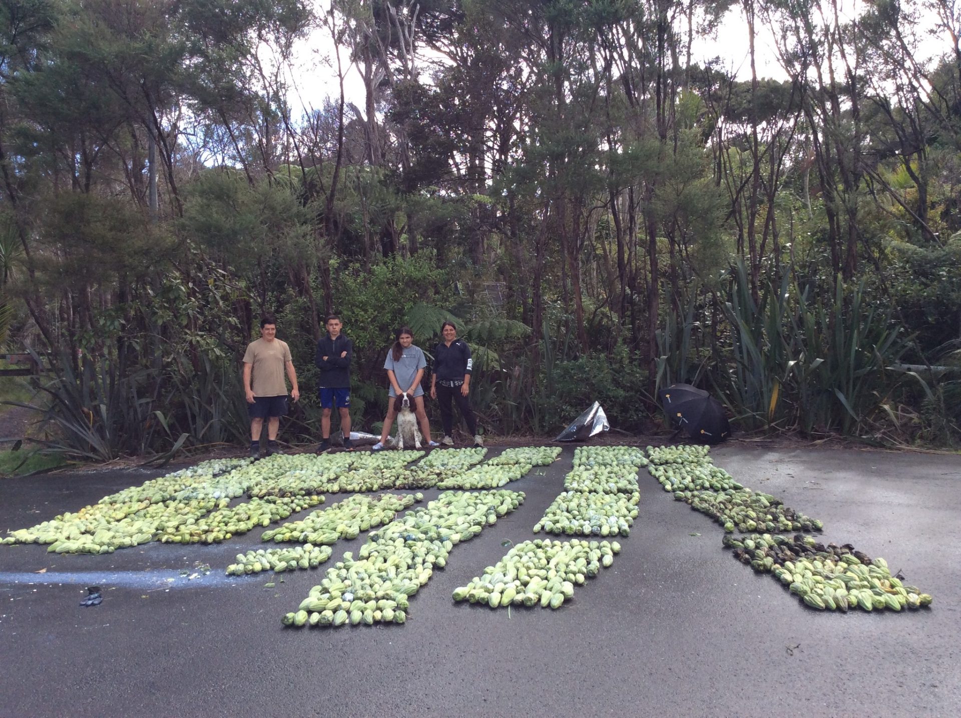 Henderson-Massey Moth Plant Competition - EcoMatters Environment Trust