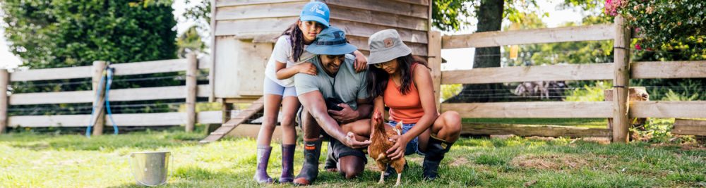 EcoFest - EcoMatters Environment Trust